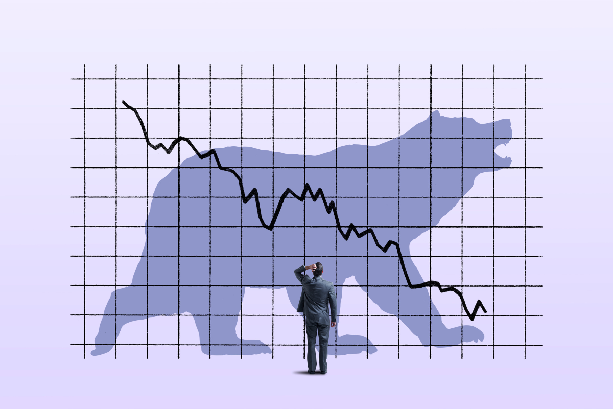 7 Things To Know Now That The Bear Is Here | Livswell Retirement ...